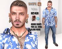 Second Life Marketplace - [SHAPEshifters] MALE SHAPES FOR MOST POPULAR ...